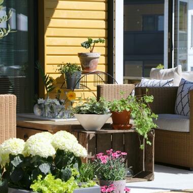 5 x ihanimmat terassi-ideat - Etuovi.com Ideat & vinkit