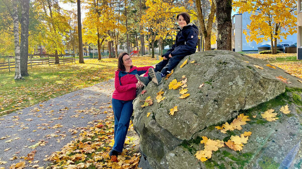 Vuokra-asunnot vuokrakohteet: 27747 kpl - Vuokraovi.com